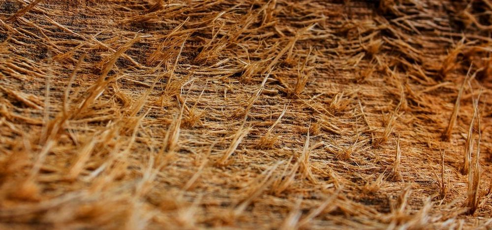 Nanotech Allows Printed Electric Circuits Made from Wood