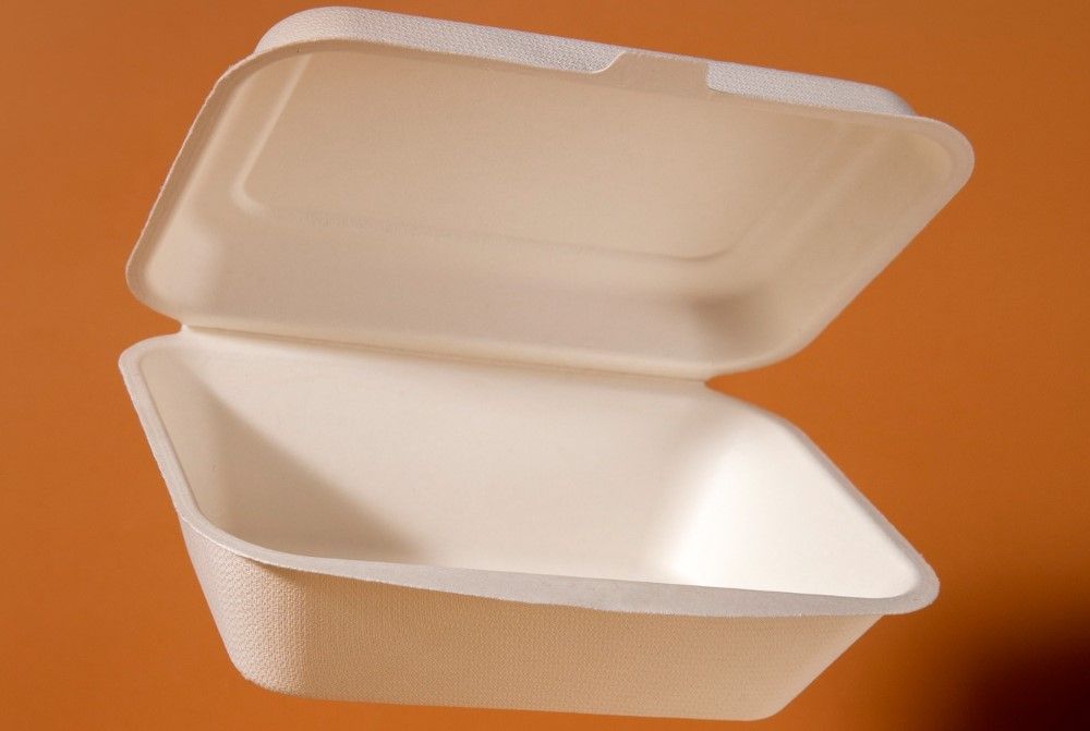 Nanoscale Mod Gives Polystyrene An Antimicrobial Surface